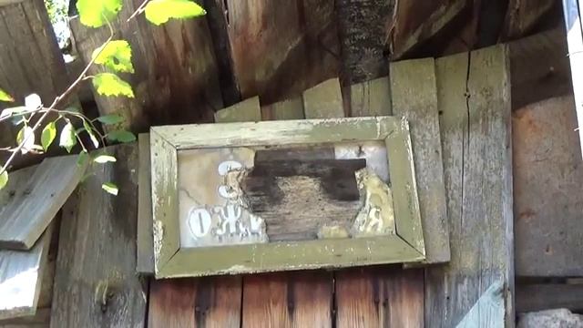 Станция Пелес. 2017 год