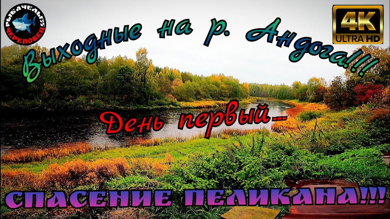 Выходные на реке АНДОГА в 4к!!!Воспоминания....Спасение ПЕЛИКАНА!!!
