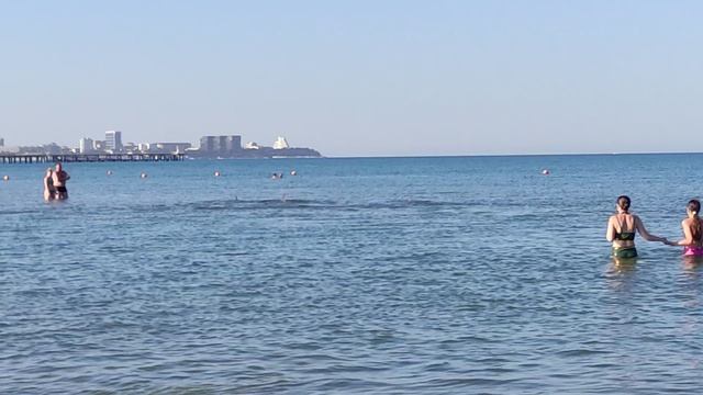 Охота дельфинов на Джемете(2023)