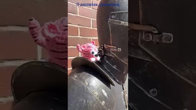 Я на рыцаря забрался