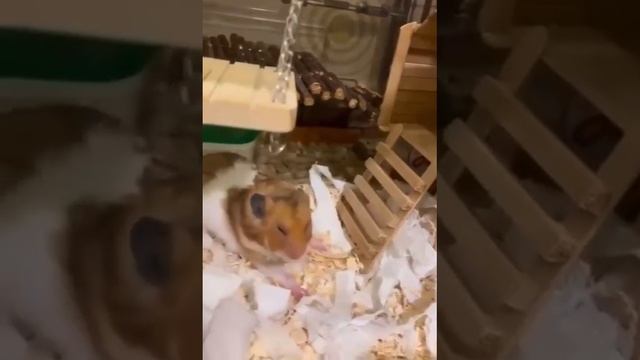 Субботнее утро