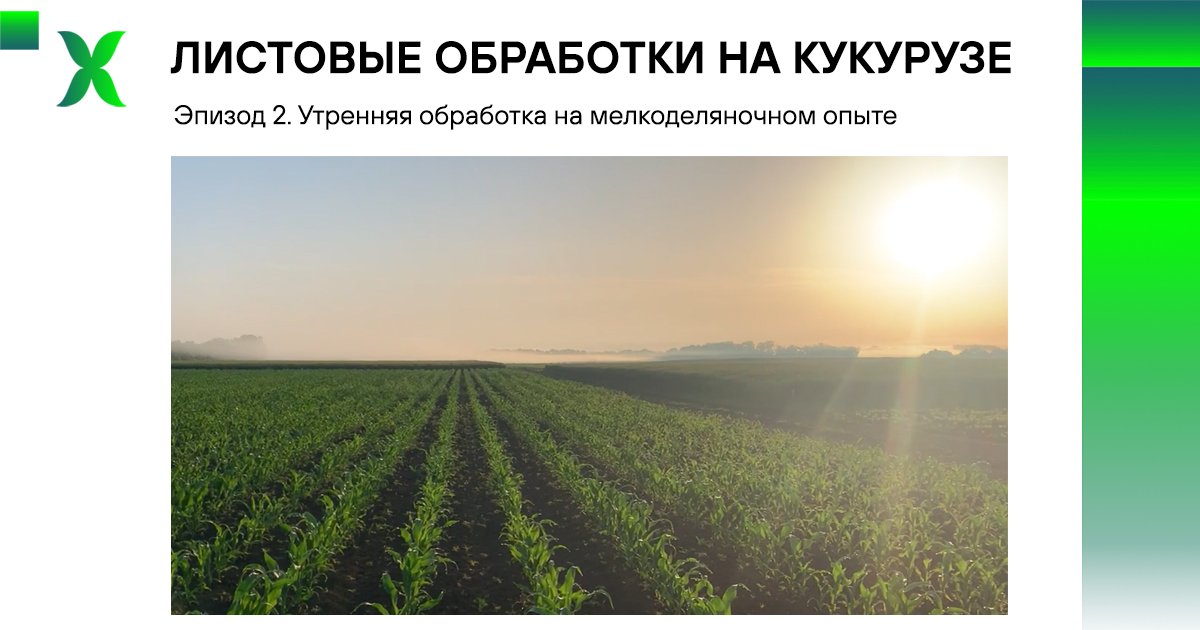 Листовые обработки на кукурузе / Утреннее опрыскивание