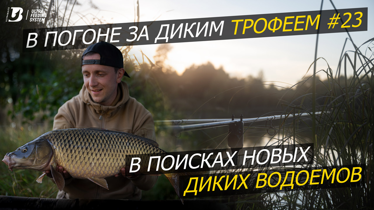 В поисках новых диких водоемов. Ловля карпа. В погоне за диким трофеем #23.