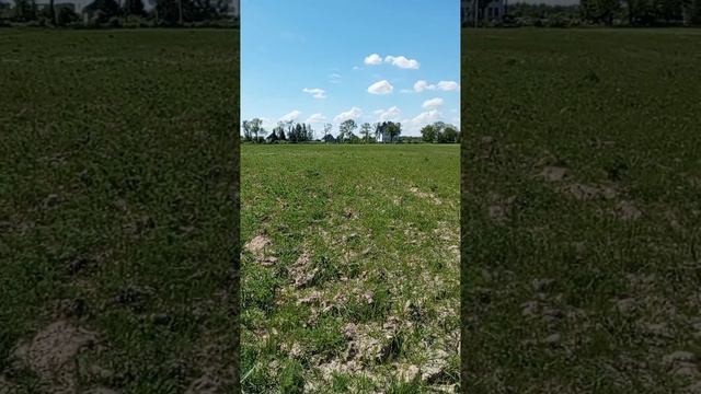 Матросово участки