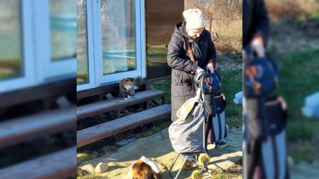 Последний день зимы 2022