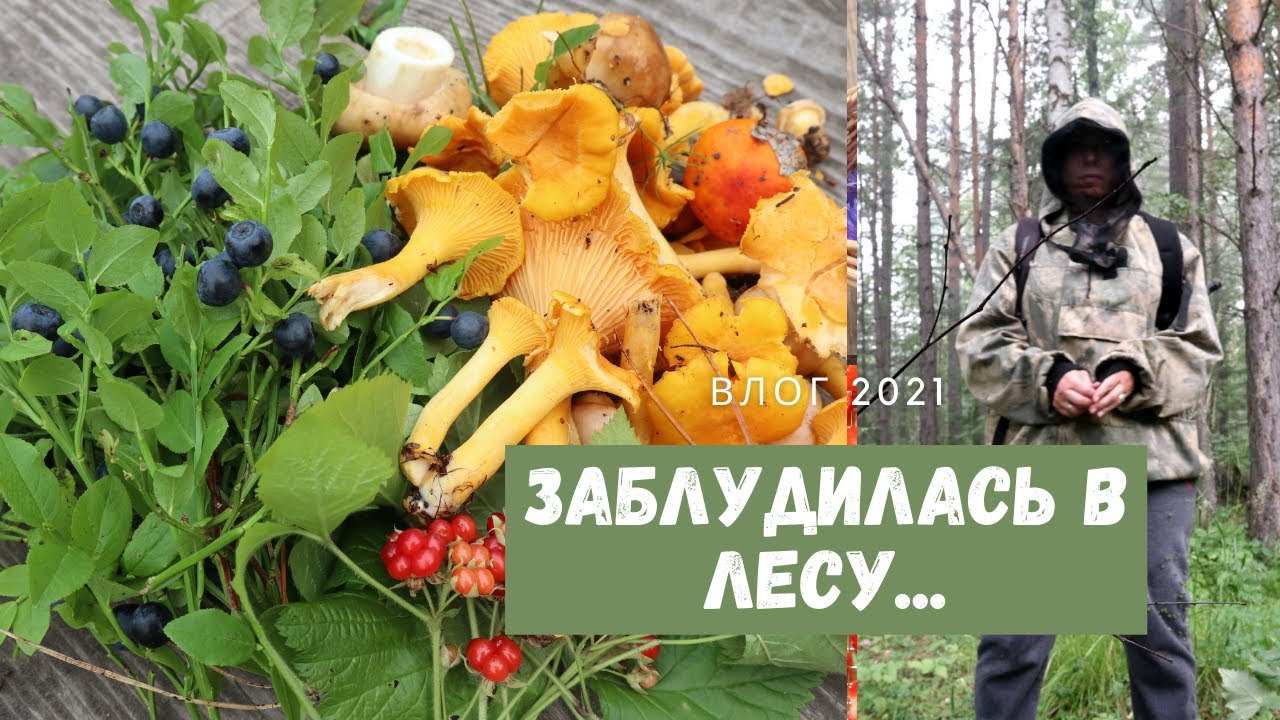 Прогулка, которая могла стать последней... Тайга не любит шутить!