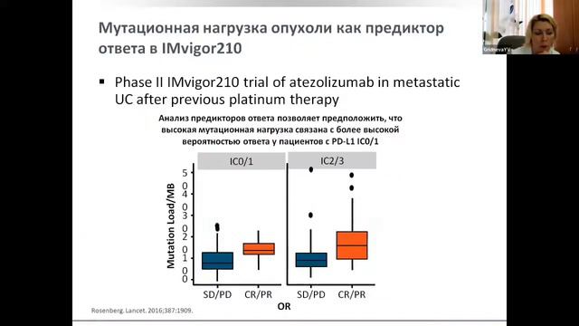 Персонализированная терапия пациентов с онкоурологическими заболеваниями. Роль биомаркеров