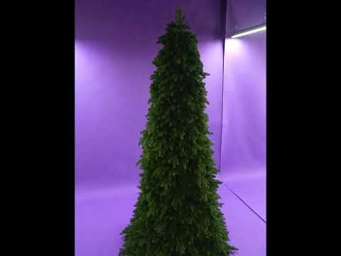 CRYSTAL TREES | Обзор | Ель  "Паулиста"