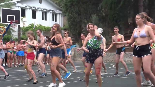 Племена Алушты 2008-2019