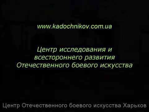 Система Кадочникова