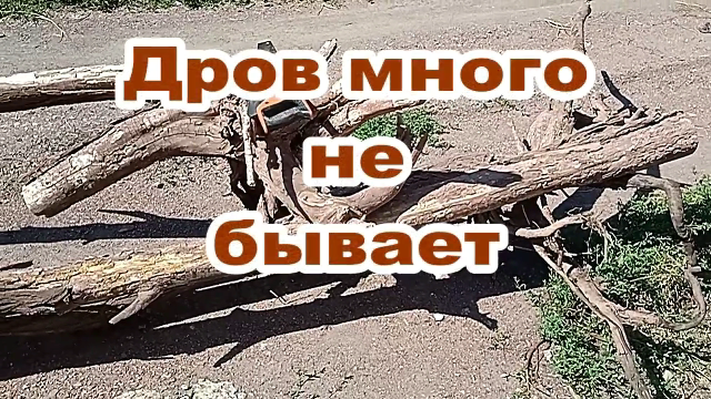 Дров много не бывает..mp4
