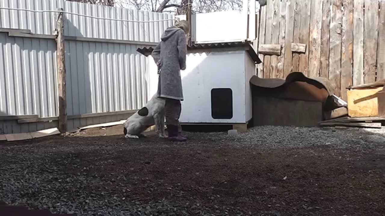 Первый раз в первый класс