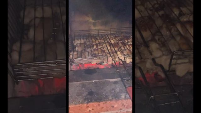 На ночь шашлыков из курицы)