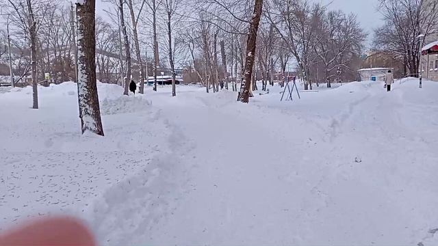 24.01.2024.Жигулёвск. Благодарим ночных труженников, трактористов, за расчистку променада по Моркваш
