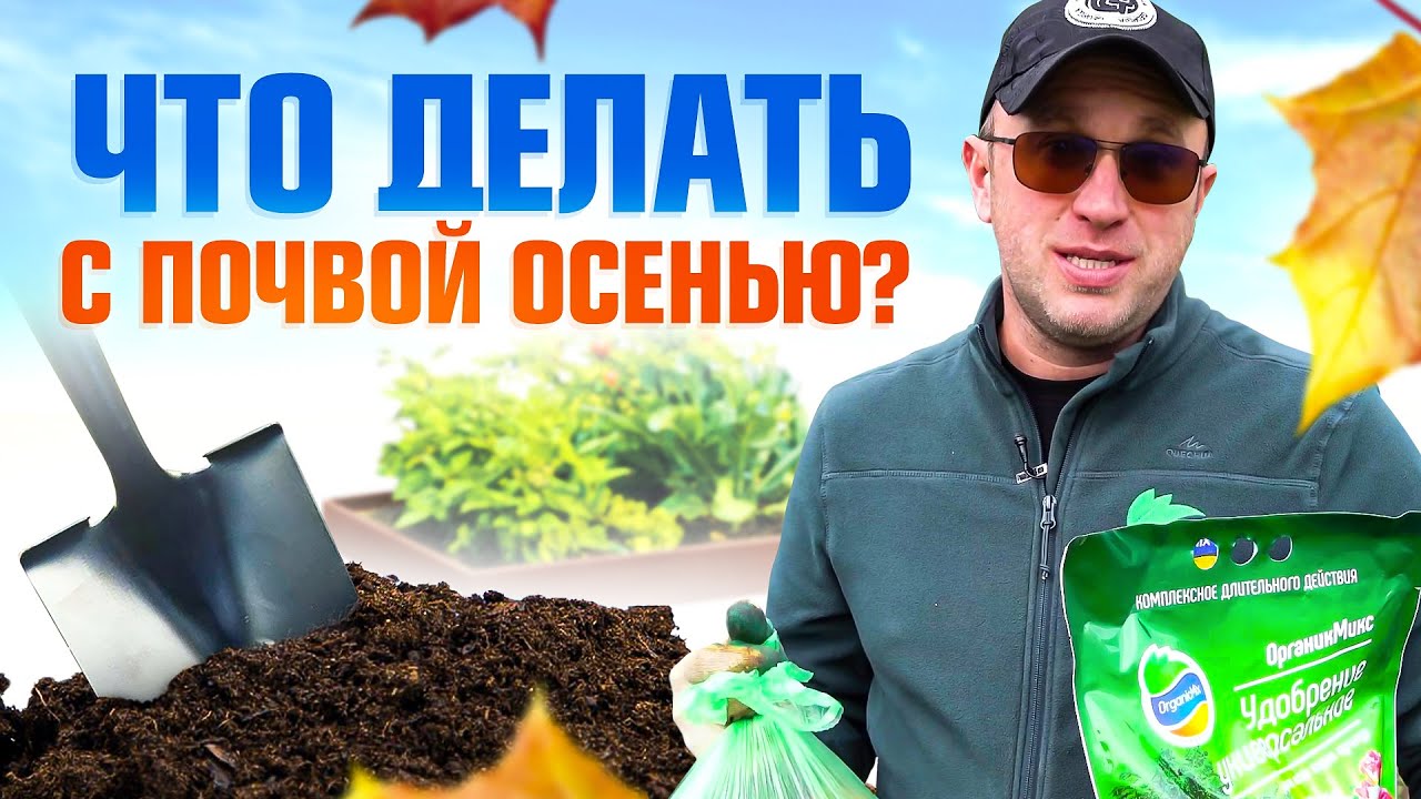Что нужно делать с почвой после уборки томатов осенью? / Илья Макаров