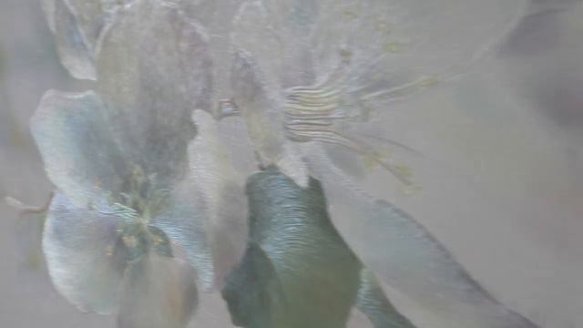 КрасноДар.Архив.Ремонт 2комн квартира 56квм ЖК Губернский.Наша Работа.