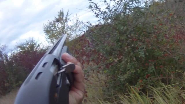 СУПЕР ОХОТА НА КУРОПАТКУ - ФАЗАНА 2016 . Hunting for game birds - 2016.mp4