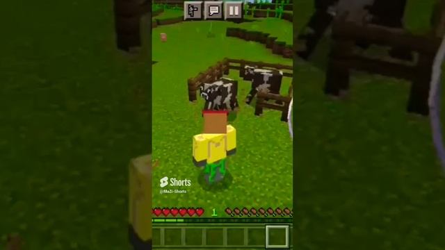 КОРОВЫ ОЧЕНЬ ОБЩИТЕЛЬНЫЕ ЖИВОТНЫЕ! #прикол #minecraft #мем