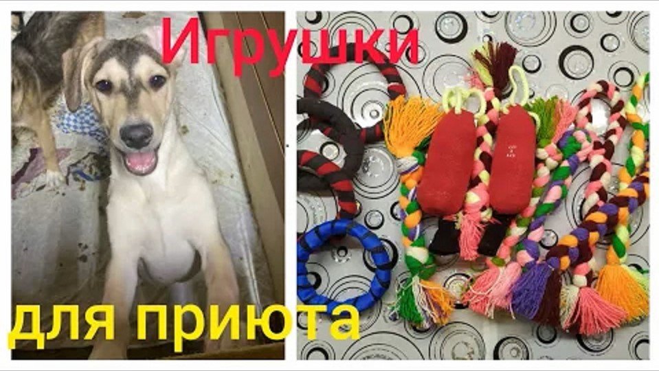 Игрушки для собак своими руками (1).mp4