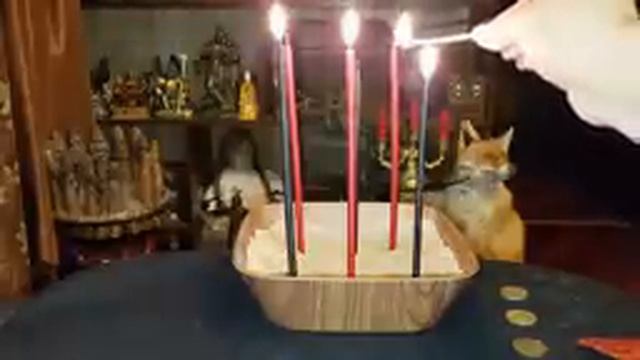 АБРАКАДАБРА... ХОЧУ МНОГО ДЕНЕГ... ДЛЯ ВСЕХ... ВЕДЬМИНА ИЗБА