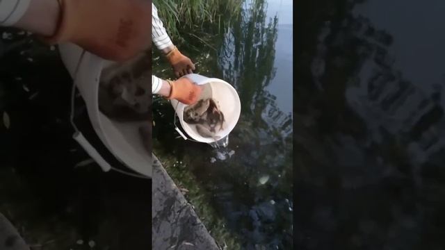 "Переселение душ" - 19.05.24