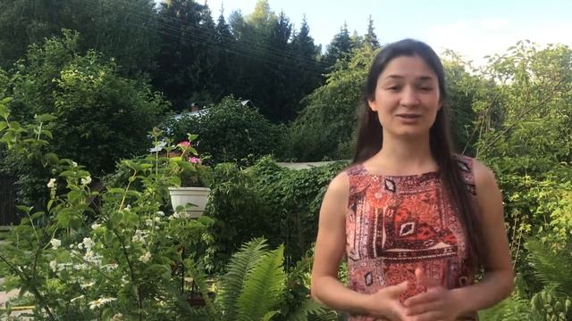 5 мифов о программе .mp4