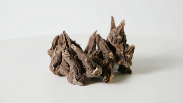 Аконит джунгарский.mp4