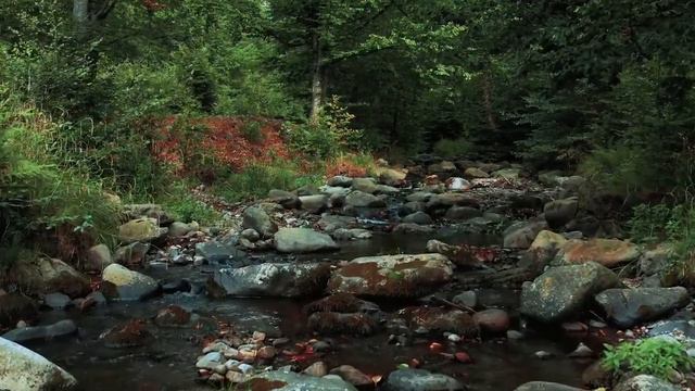 СЫН ЦЕРКОВНЫЙ часть 1