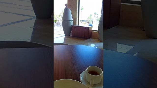 MovaviClips_Video_20211104-024322.mp4