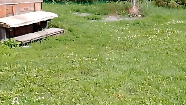 Август 2024 года.