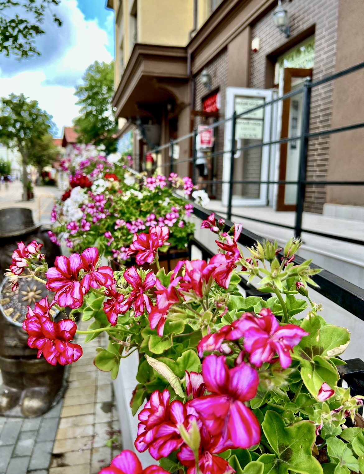 Зеленоградск 2023