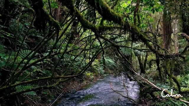 Успокаивающие звуки для сна