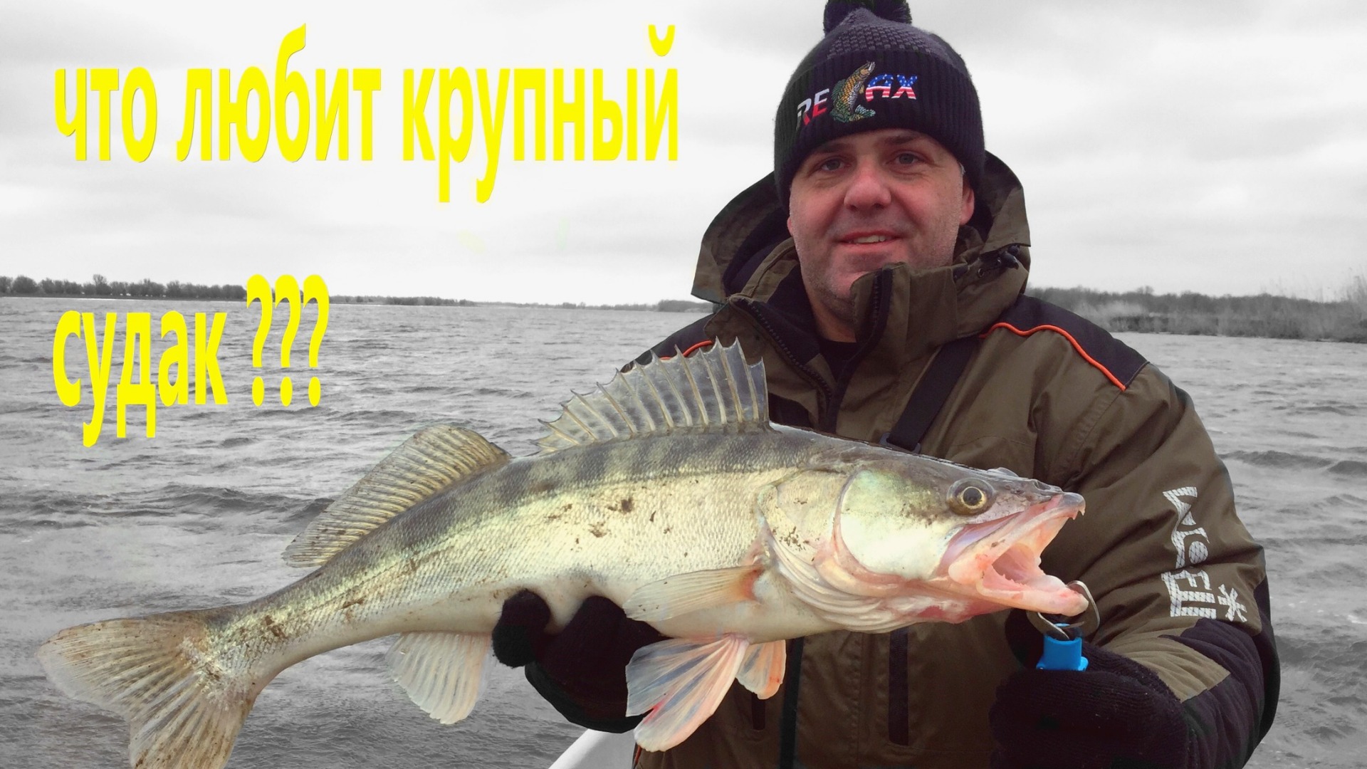 Огромные СУДАКИ на спиннинг, Рыбалка в Астрахани февраль 2020