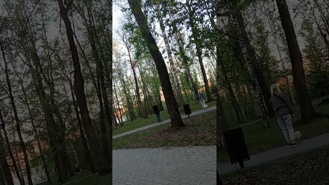 Камера в Парке Отдыха