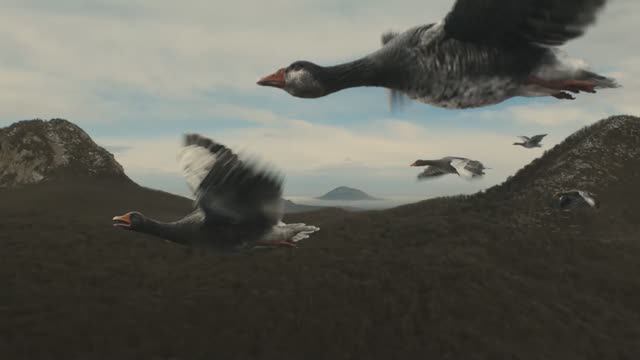 Что_стоит_за_этим_знаком? Жилье и городская среда