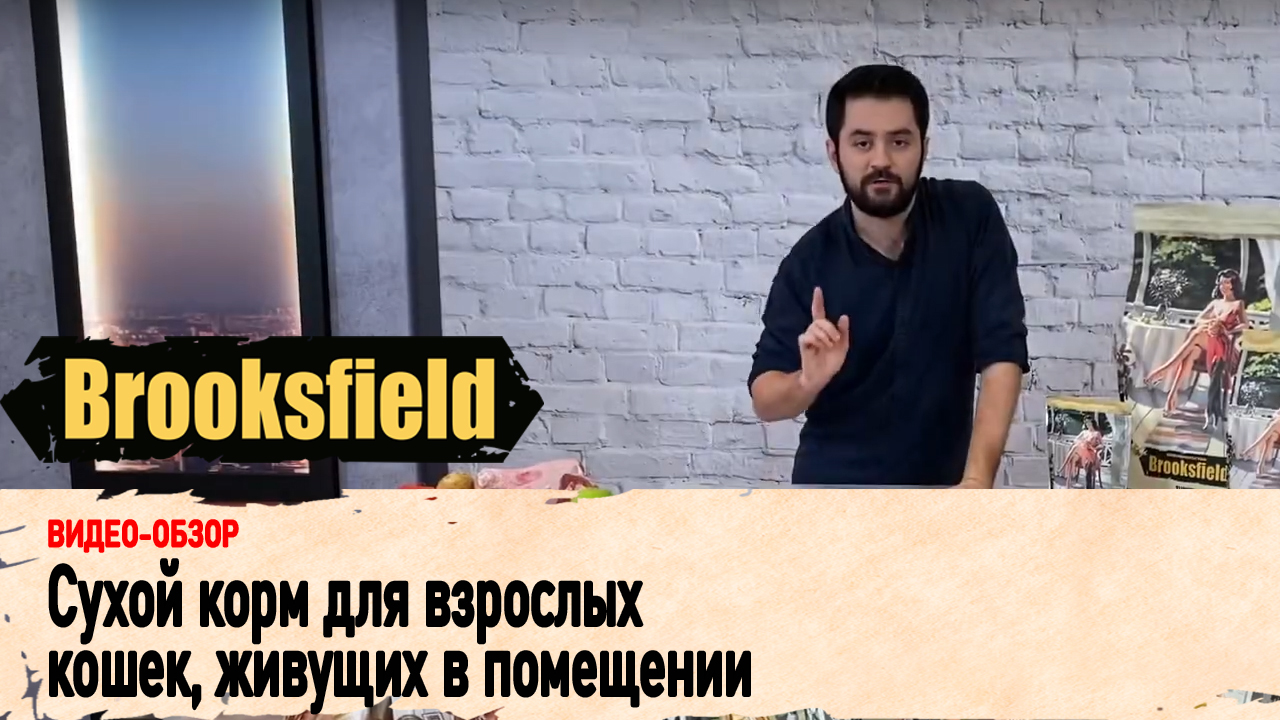 Обзор BROOKSFIELD сухой корм для взрослых кошек, живущих в помещении