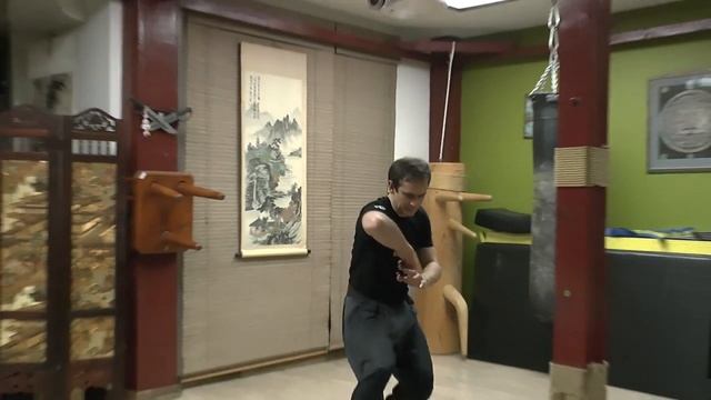 ЮН ЧУН ВИН ЧУН ФОРМА ЛЕОПАРД №7