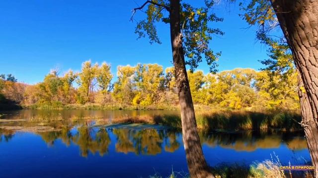 Река Урал Природа