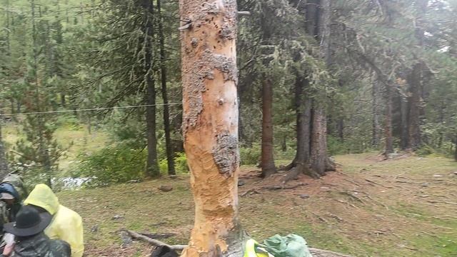 Контрасты погоды на Алтае в августе!