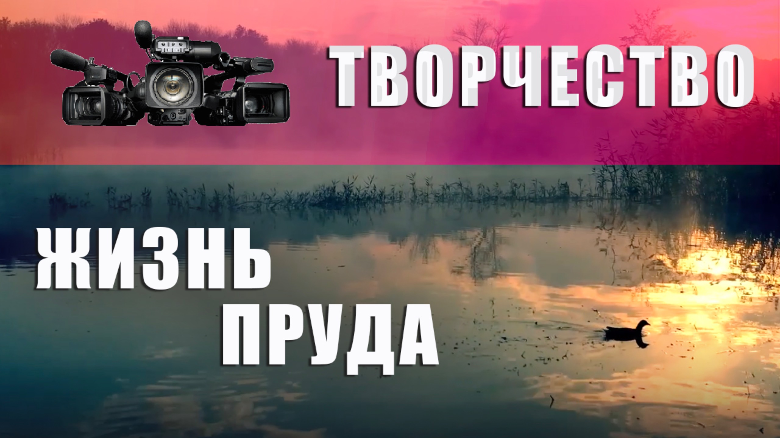 Жизнь пруда - полёты с лебедем