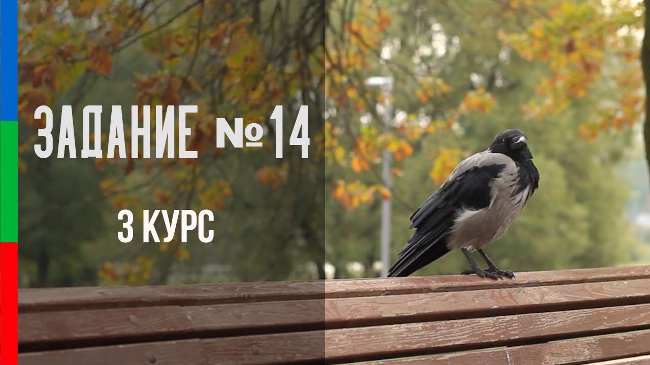 ДО31_ВОЛГИН_МАСТЕРСТВО_НАСТРОЕНЧЕСКИЙ ЭТЮД