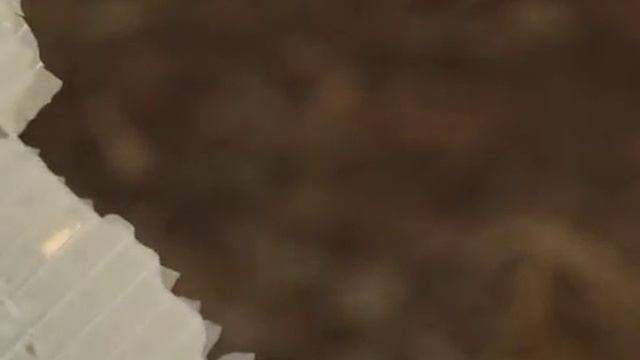Удачные заметки   Ремонт Теплиц