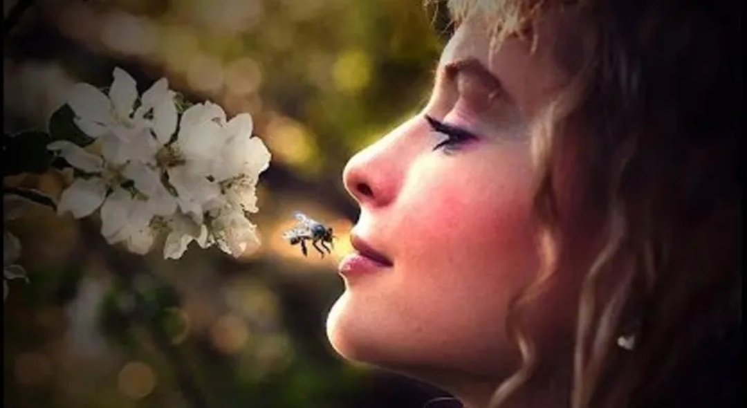 гр. ФИКСАЖ - 'ШМЕЛЬ' (Alternative Mix) /2018/