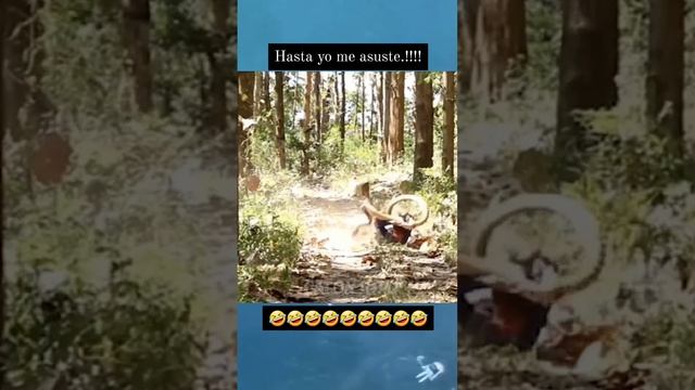 Напугали змеёй