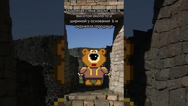 Мишка и Большой Зимбабве