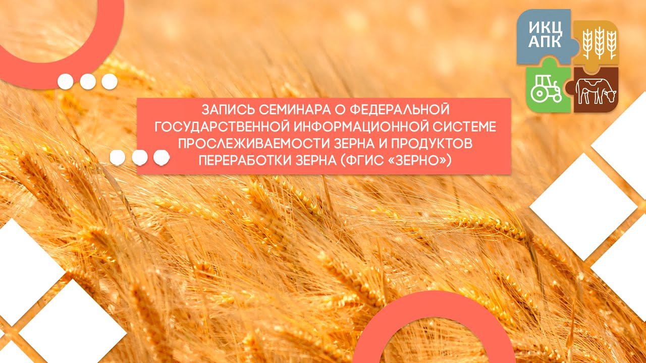 Запись семинара от 15 марта 2022 года