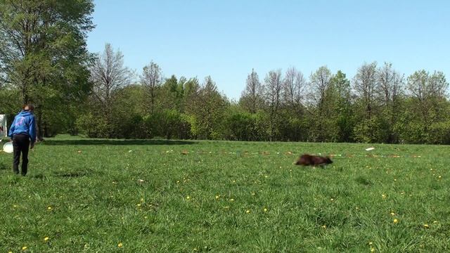 Турнир Победы. Виктория и Ру..mp4