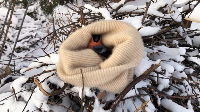 Спасти рядового Райана.