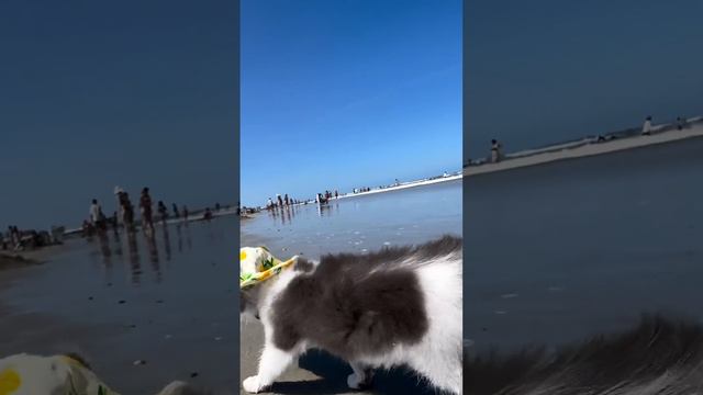 Первый раз на море