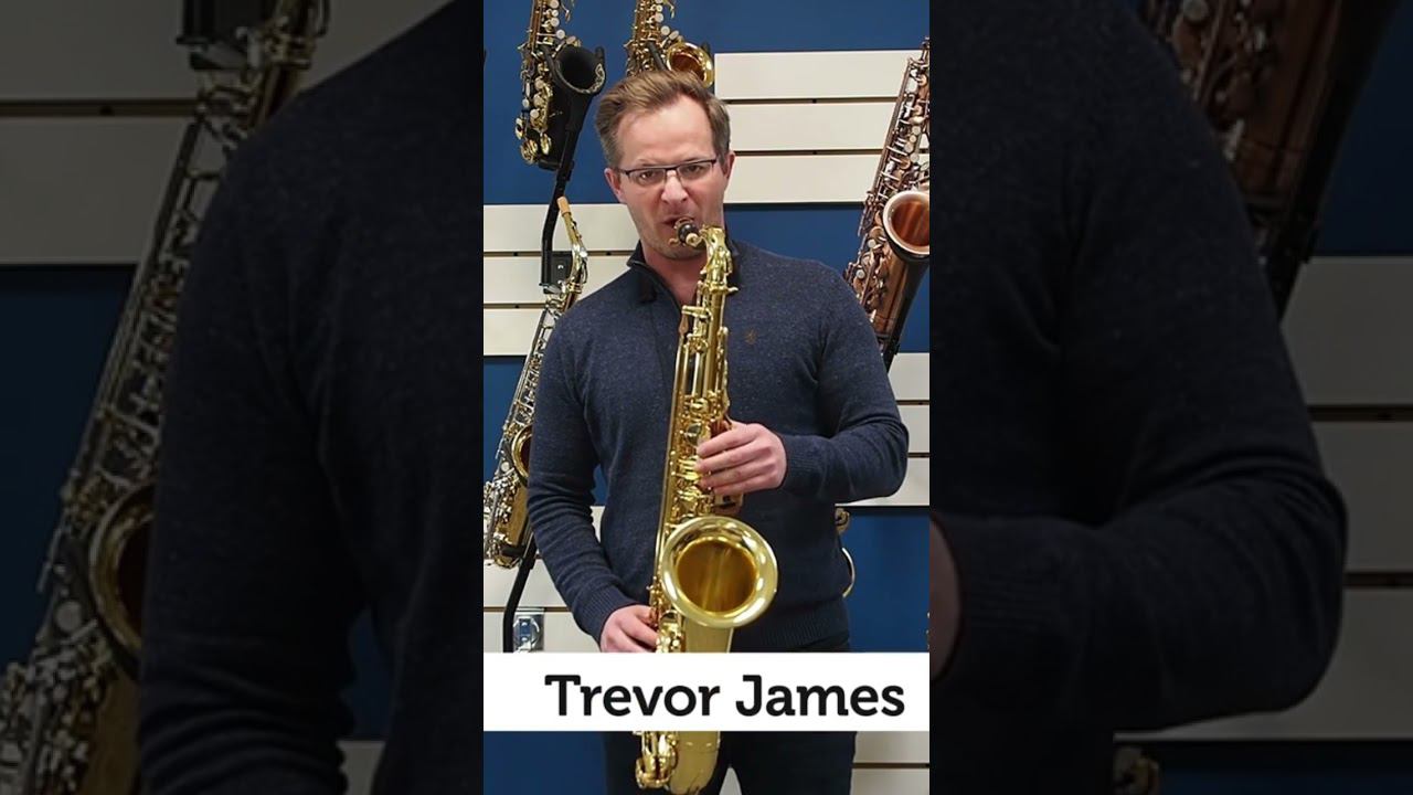 Тенор-саксофон Trevor James The Horn 3830G - Андрей Блинчевский